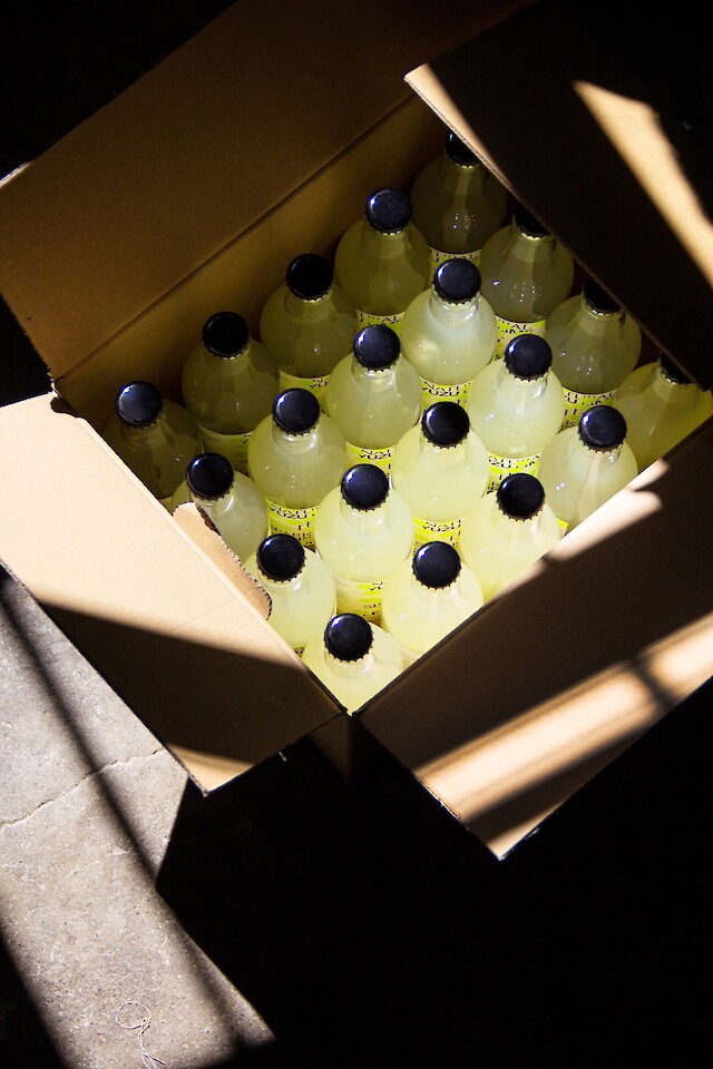 Urban Lemonade – Department of Design ZHdK